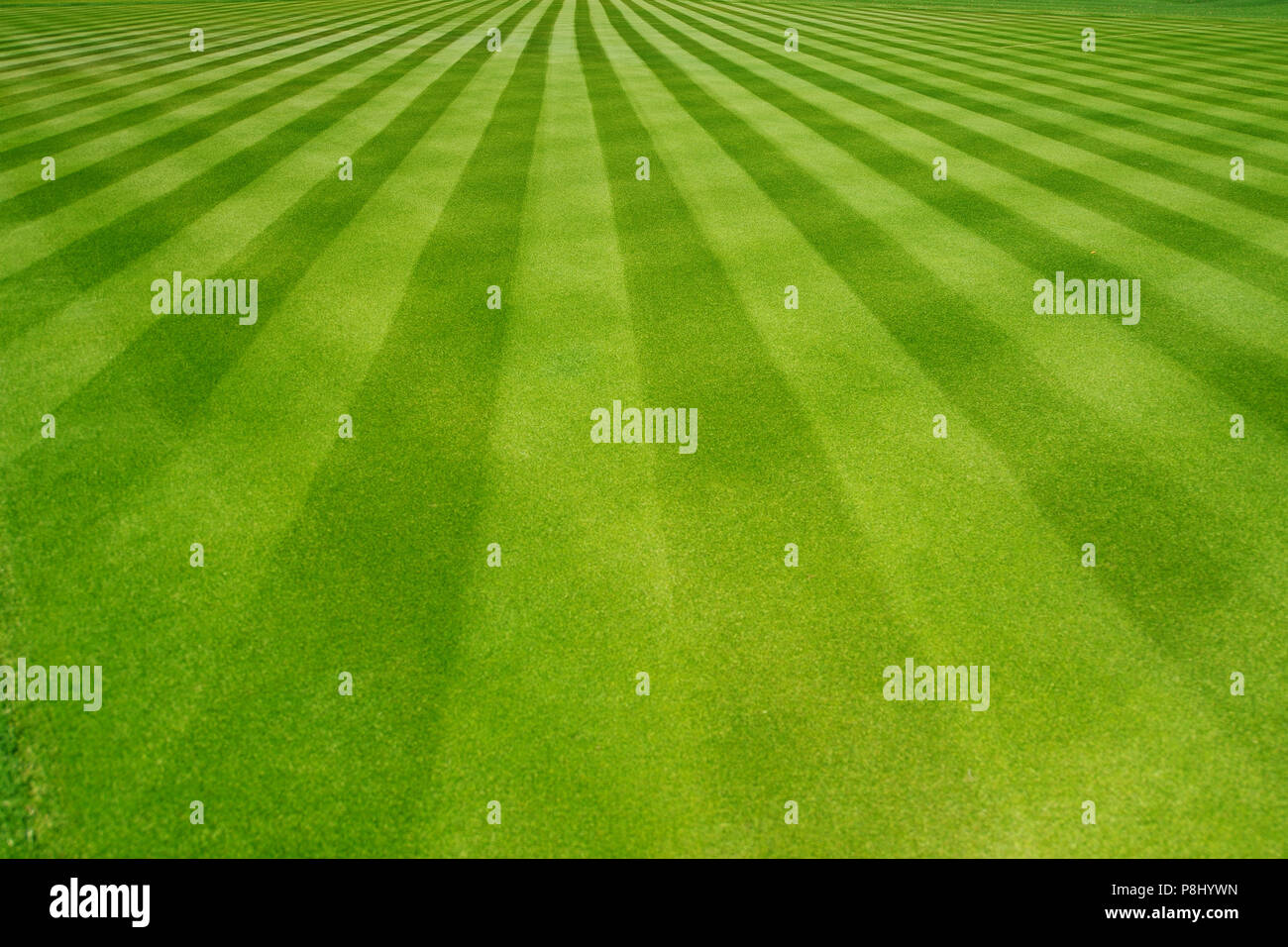 Striped lawn hi-res stock photography and images - Alamy