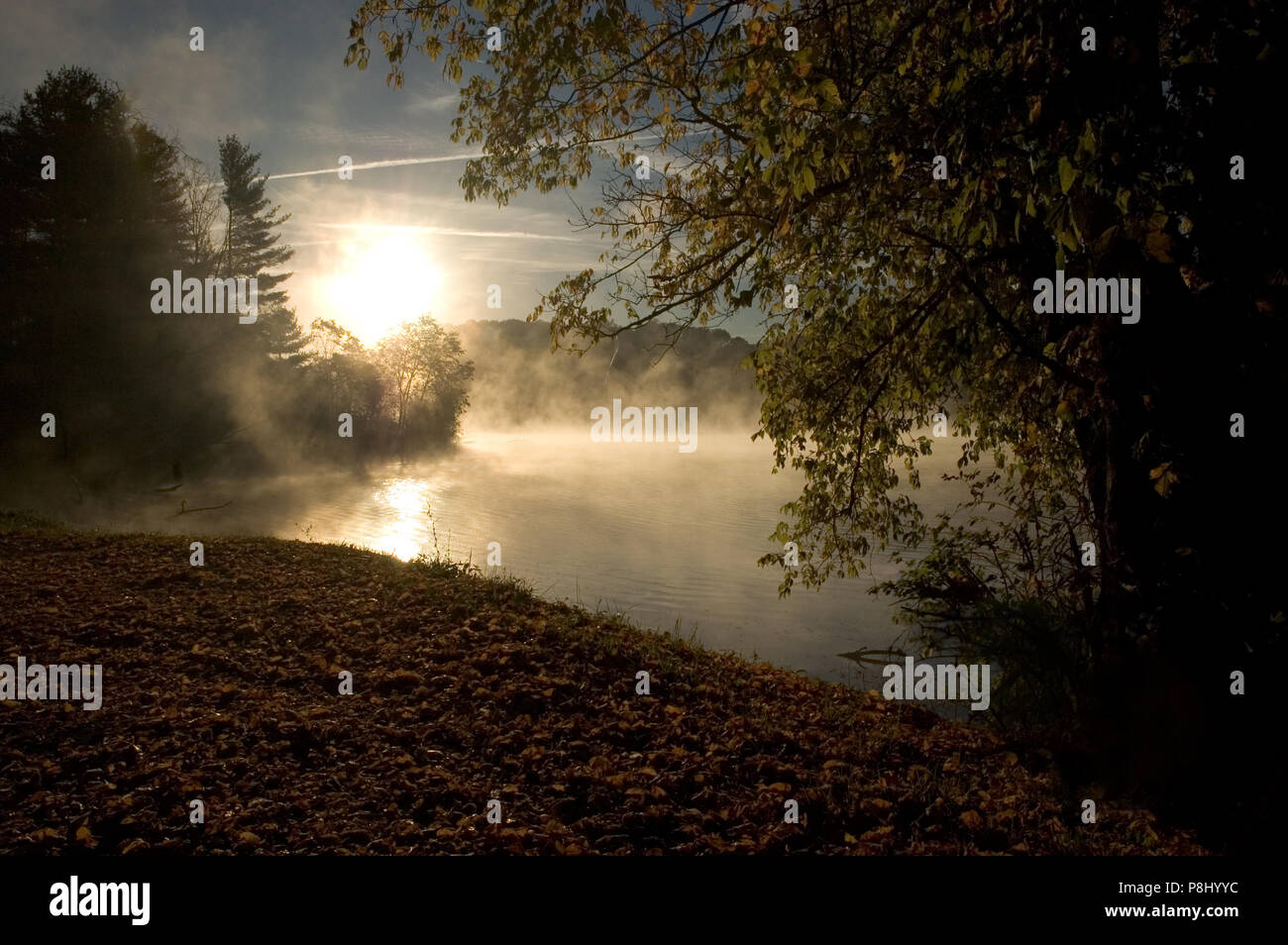 A surreal looking morning in the fall with the mist rising from the ...