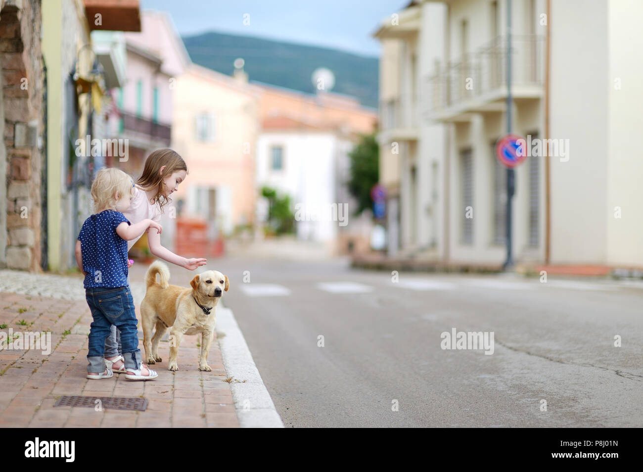 Canine sisters hi-res stock photography and images - Alamy