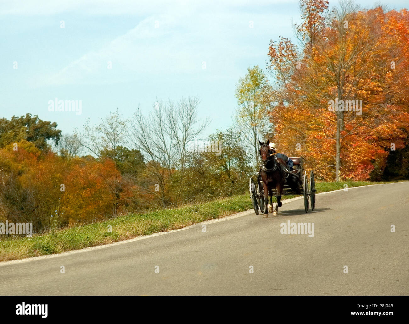 Amish driving buggy hi-res stock photography and images - Alamy