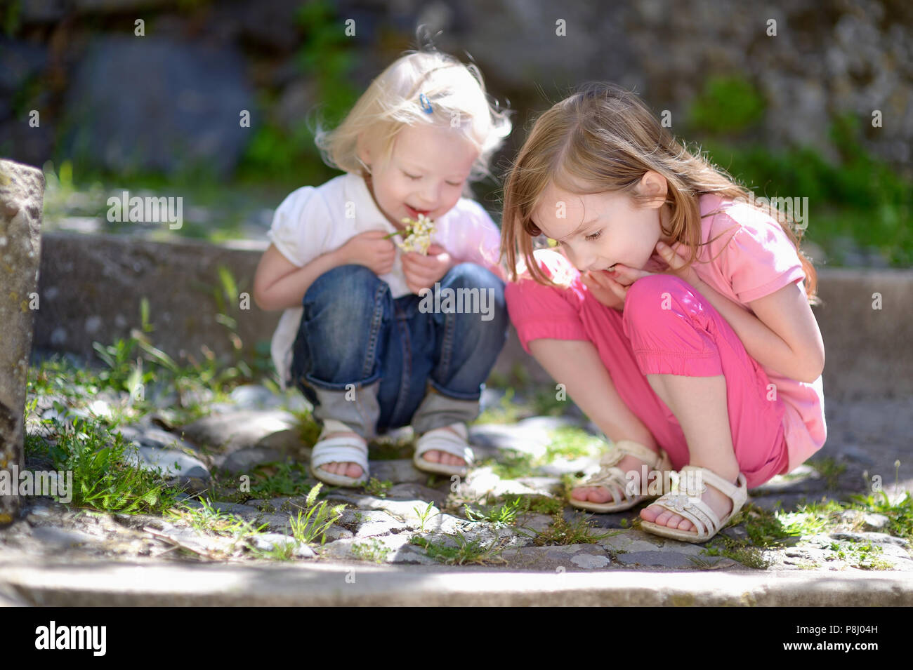 Two cute little sisters watching a bug outdoors Stock Photo - Alamy