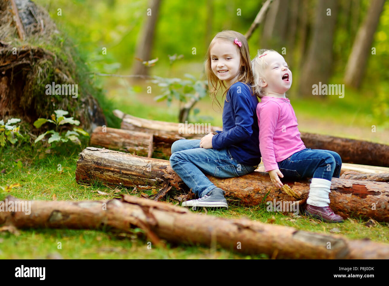 Two little sisters sitting on a big log in a forest Stock Photo - Alamy