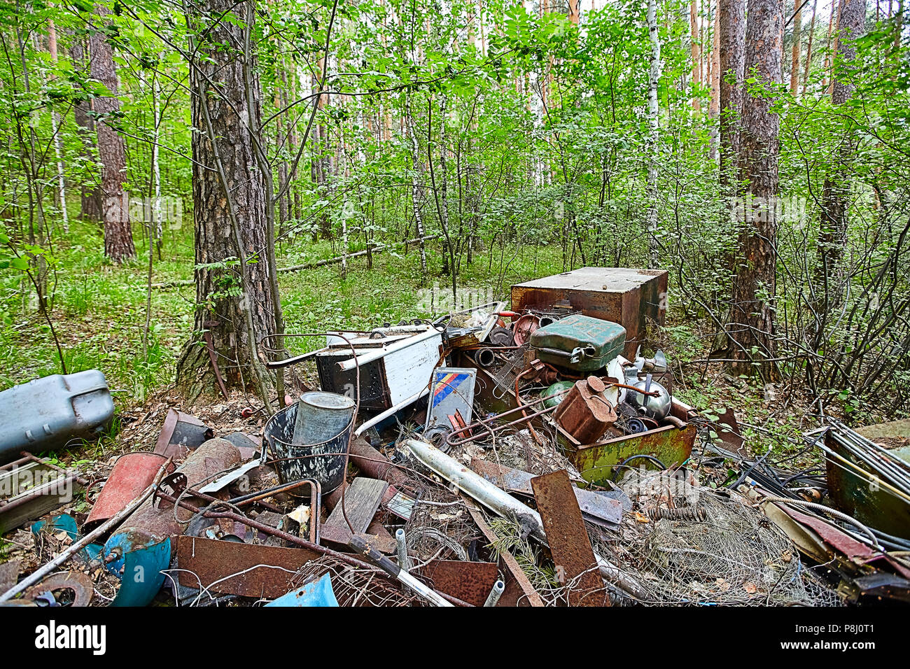 Dump old metal objects in the woods, rusty scrap metal. Environmental ...