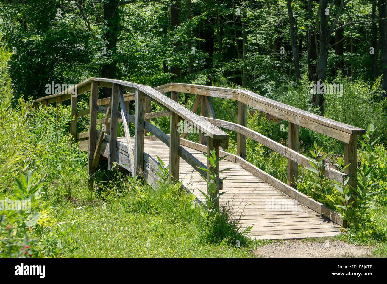 Bridge to forest Stock Photo - Alamy