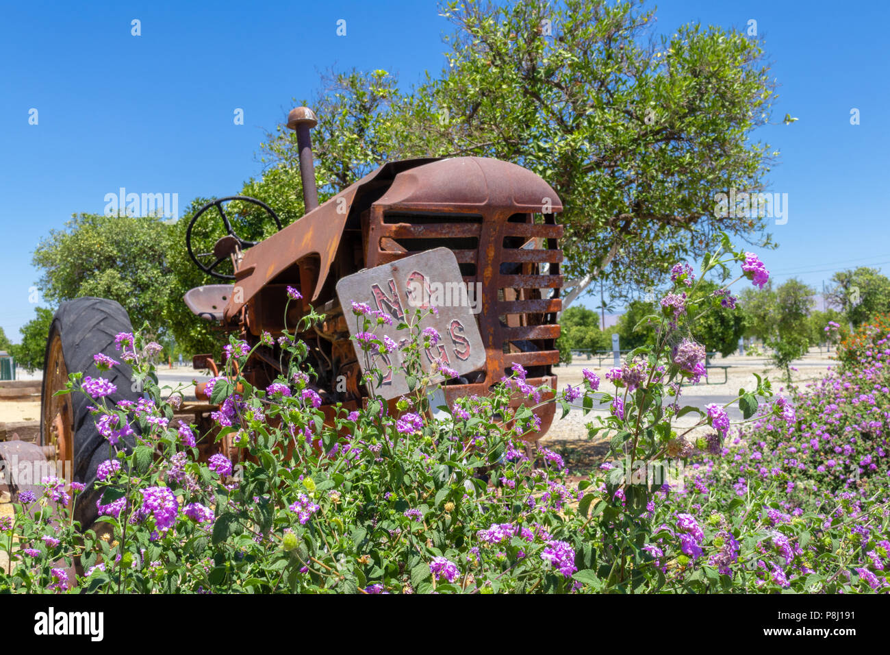 Orange groves california hi-res stock photography and images - Alamy