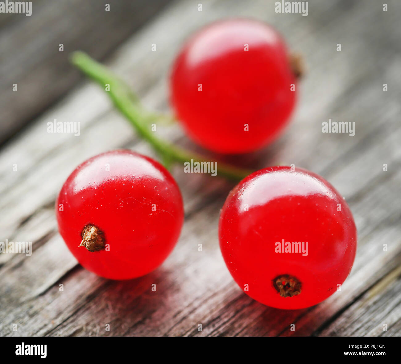 Redcurrent hi-res stock photography and images - Alamy