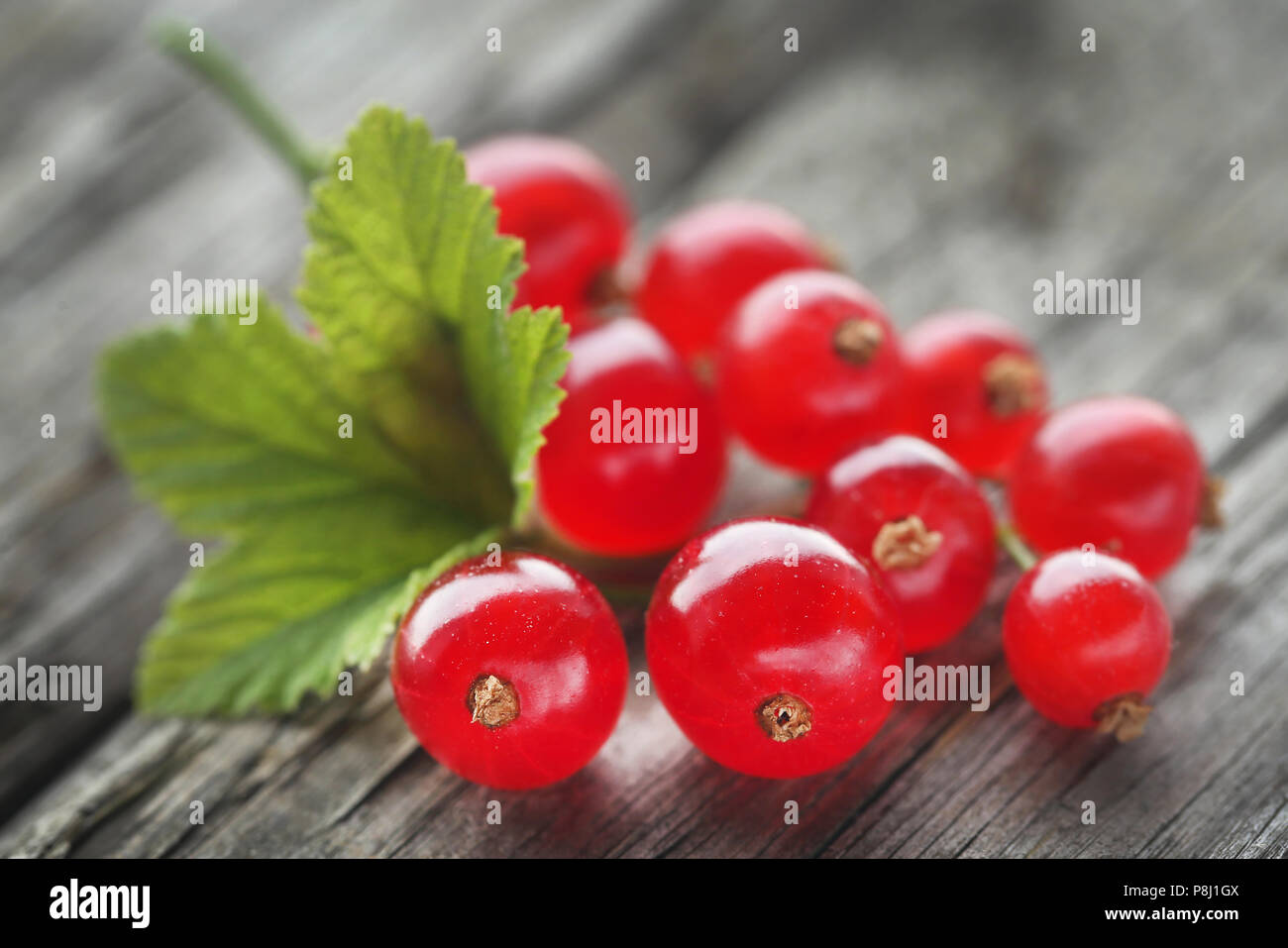 Fresh red currant on timber surface Stock Photo - Alamy