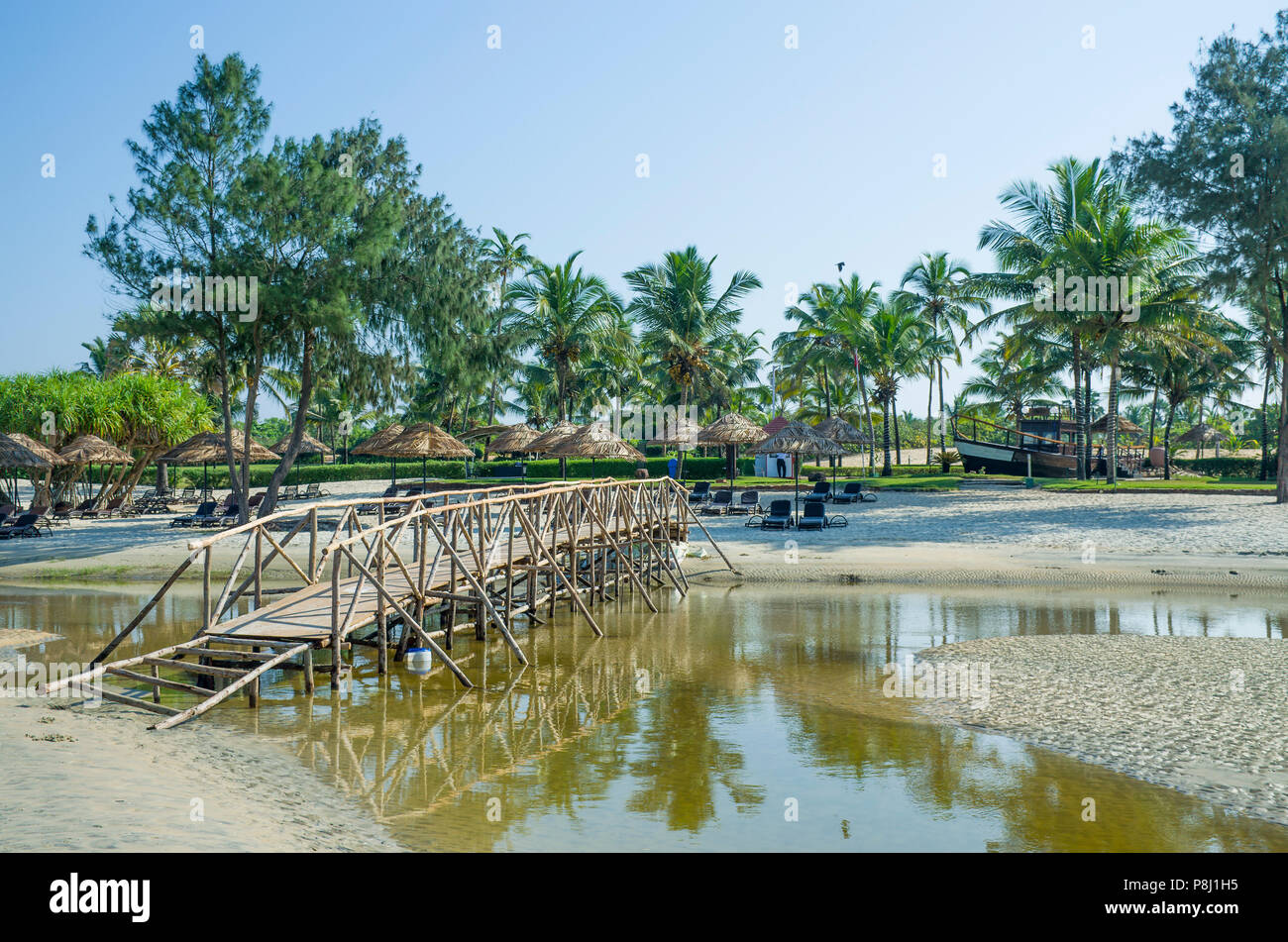 Beautiful landscape of the seashore with palm trees and tropical plants ...