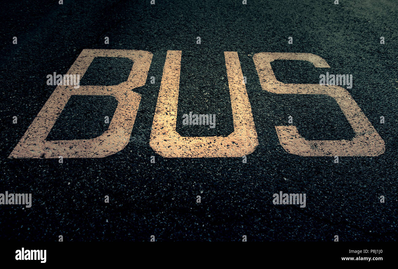 Bus signal on the asphalt, traffic signal detail of public transport ...