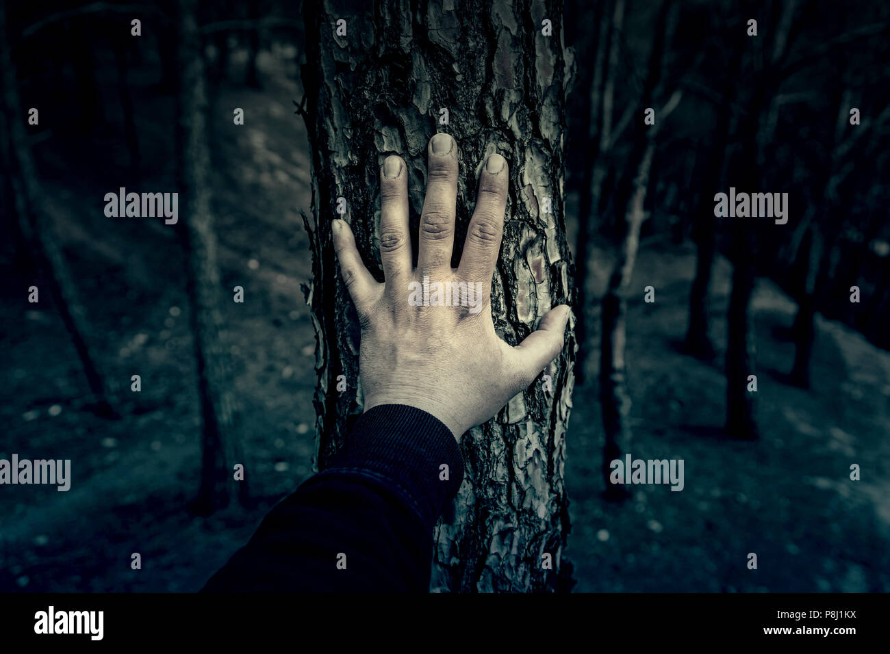 Male hand touching a tree, detail of love for nature, environment Stock ...