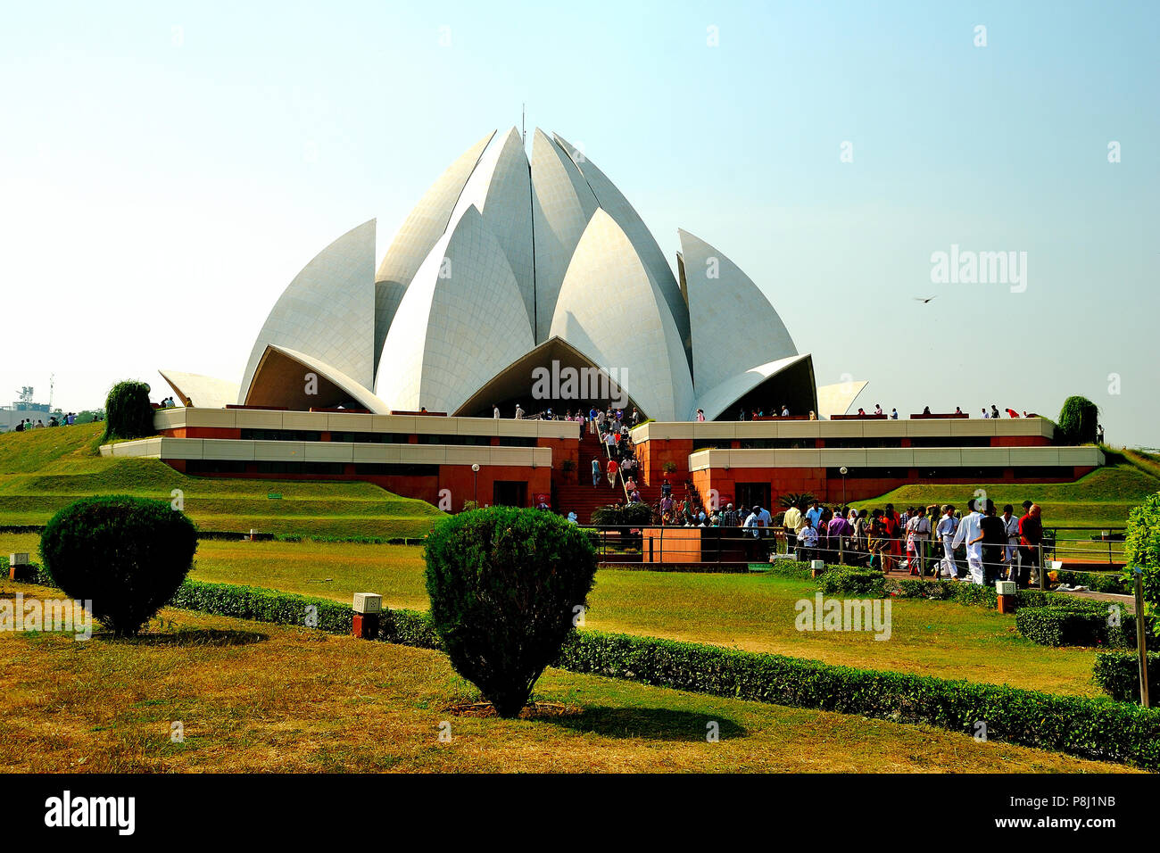 Blue Lotus Of India High Resolution Stock Photography and Images - Alamy