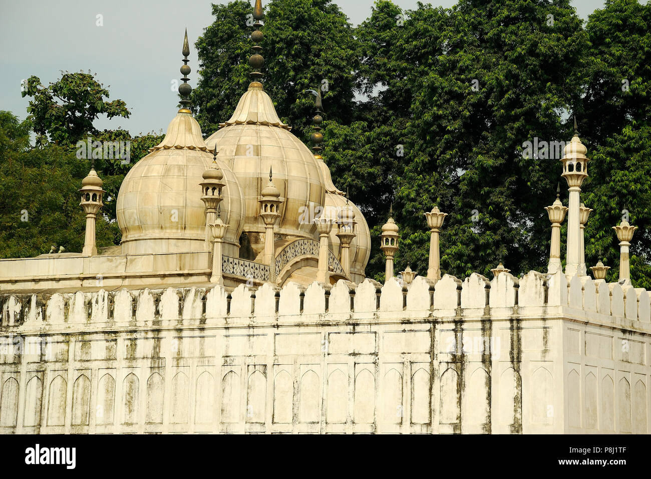 Moti masjid red fort hi-res stock photography and images - Alamy