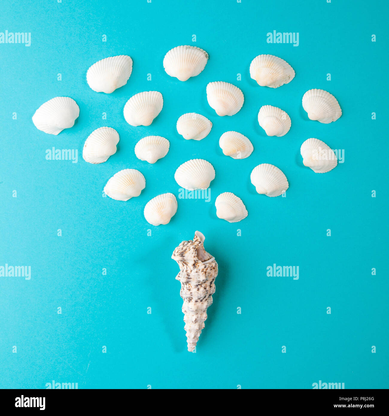Seashell of cone shape with many little seashells on blue paper ...