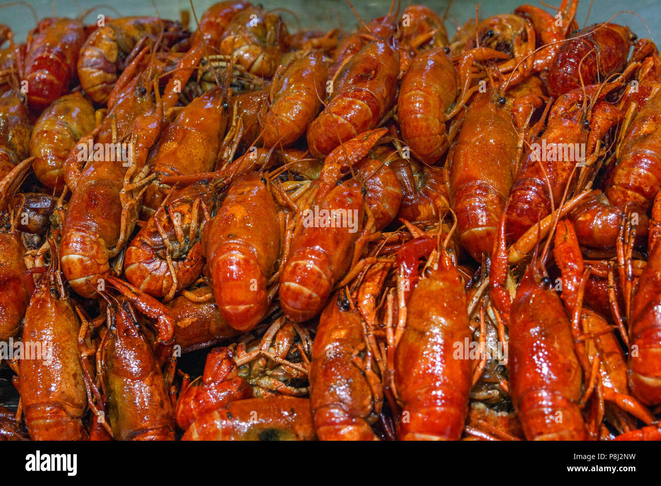 River crayfish hi-res stock photography and images - Alamy