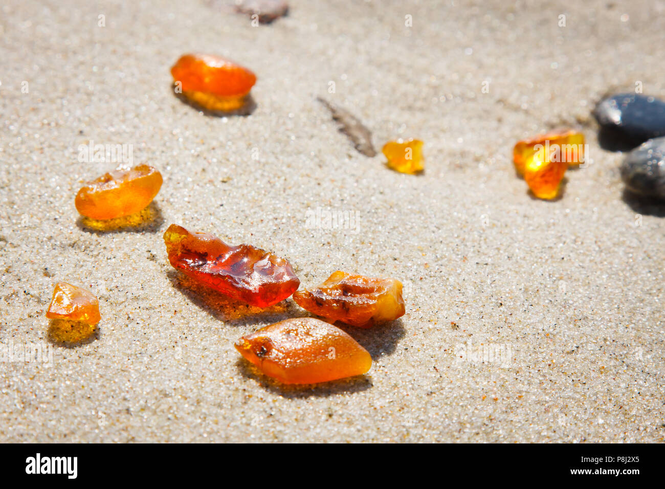 Amber at baltic beach Stock Photo - Alamy