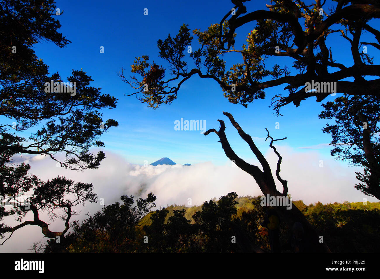 Tengger mountains hi-res stock photography and images - Alamy
