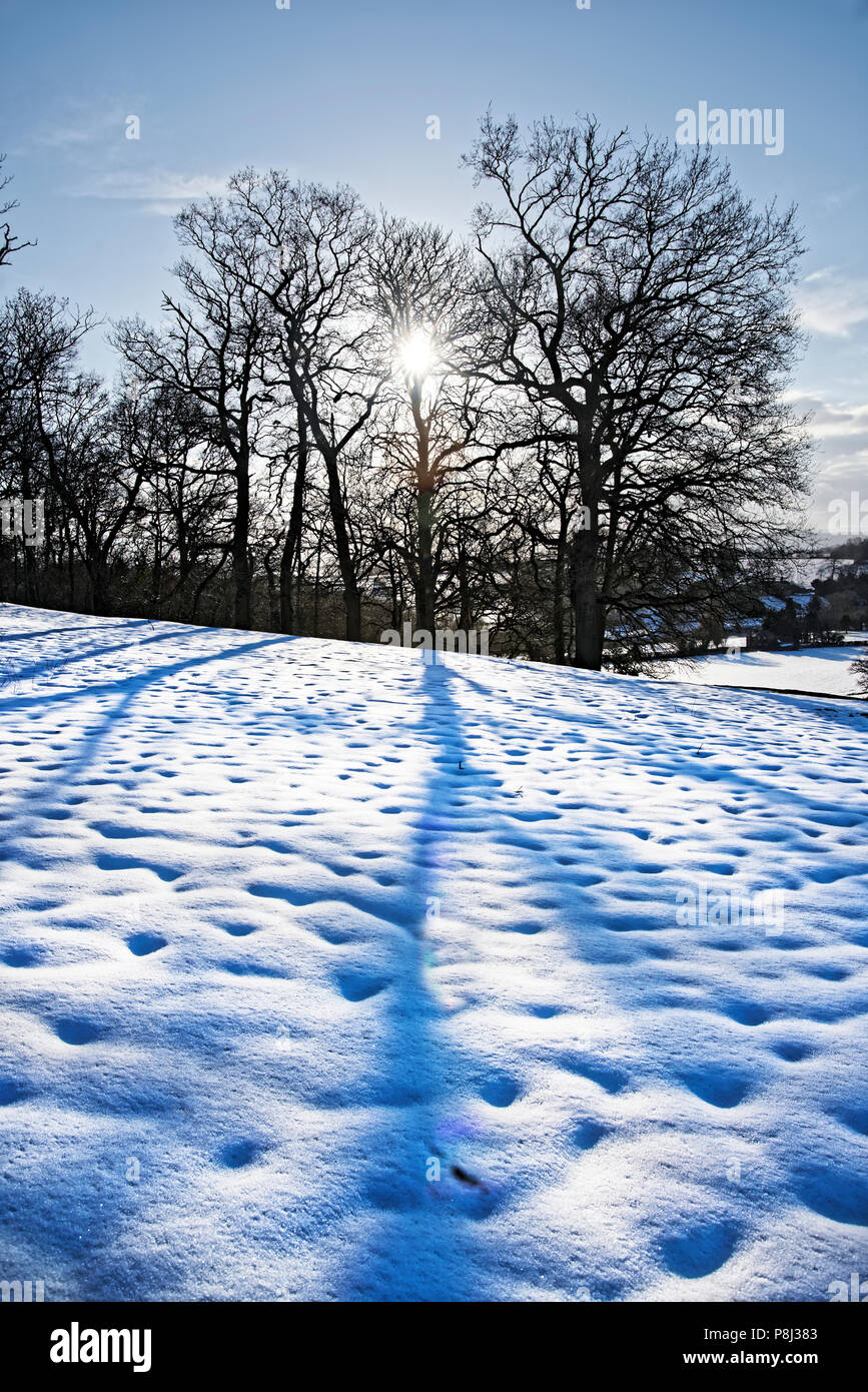 Breinton common hi-res stock photography and images - Alamy