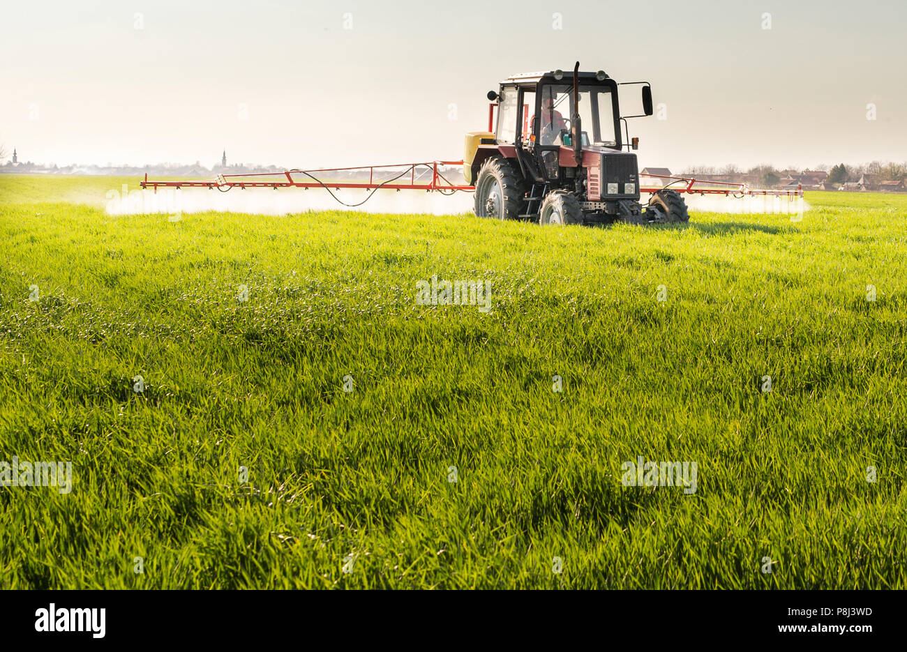 Tractor spraying wheat field with sprayer Stock Photo - Alamy