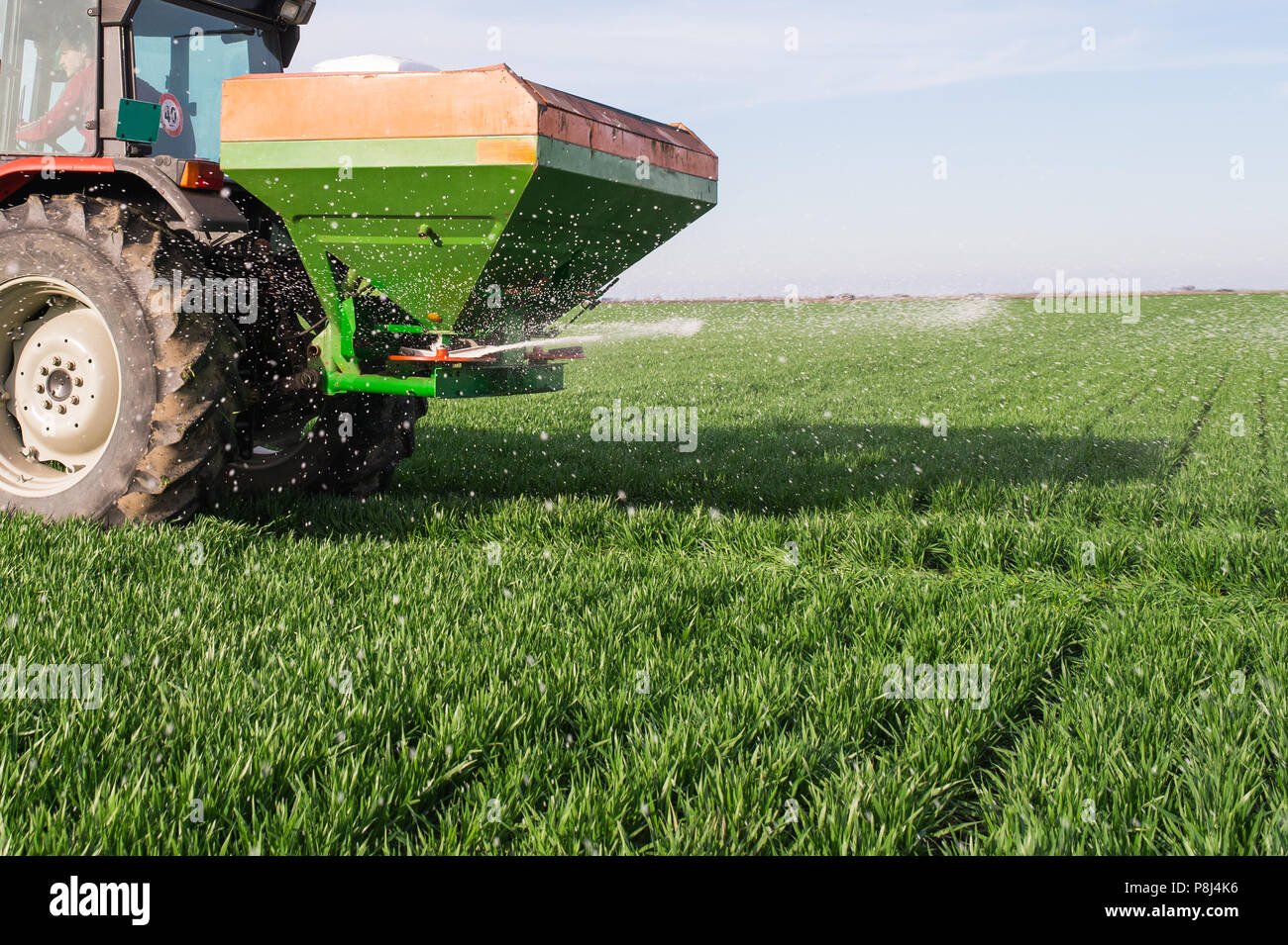 tractor fertilizing in wheat field Stock Photo - Alamy