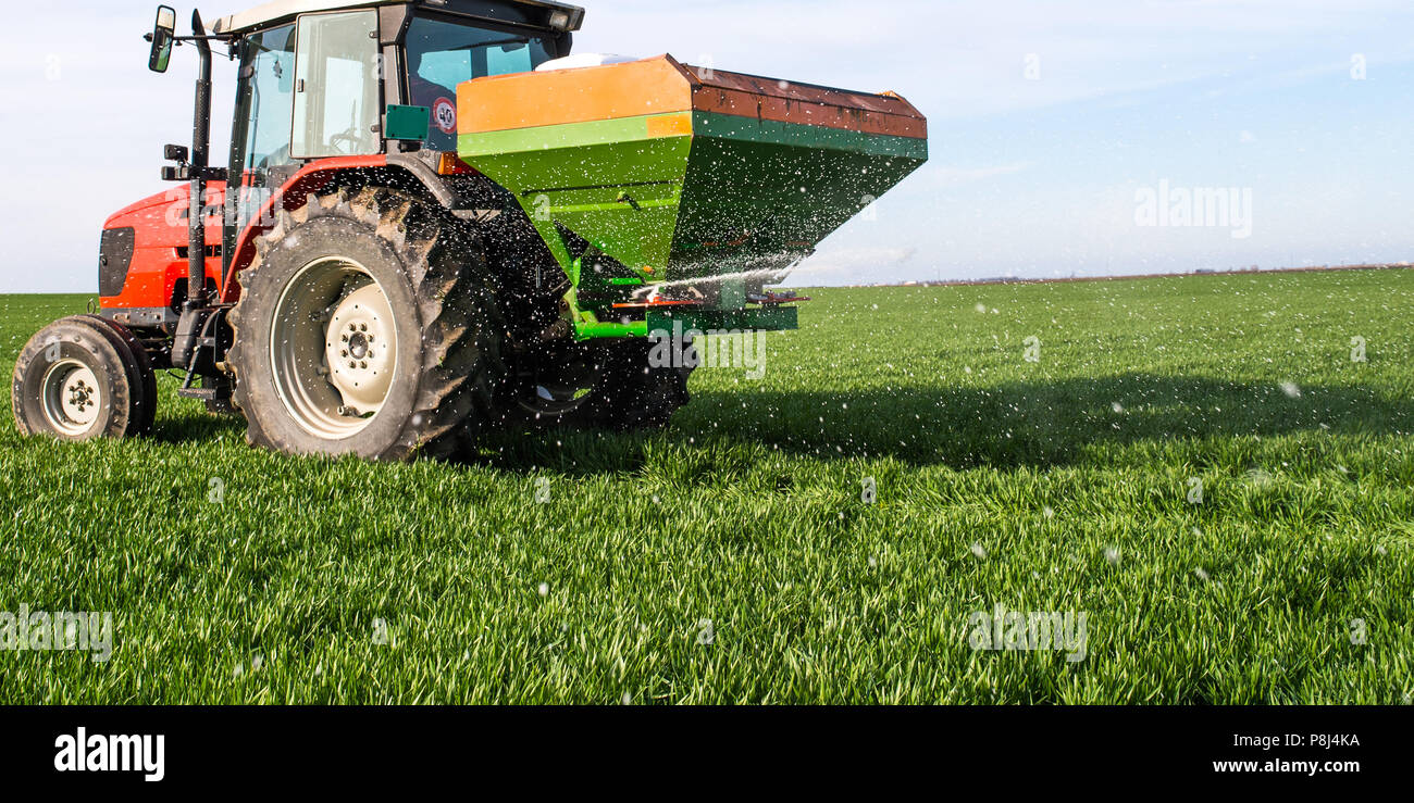 tractor fertilizing in wheat field Stock Photo - Alamy