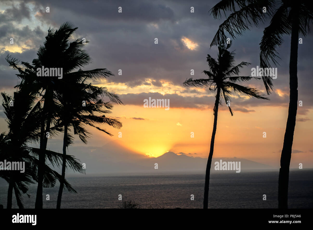 Royaltyfree image hi-res stock photography and images - Alamy