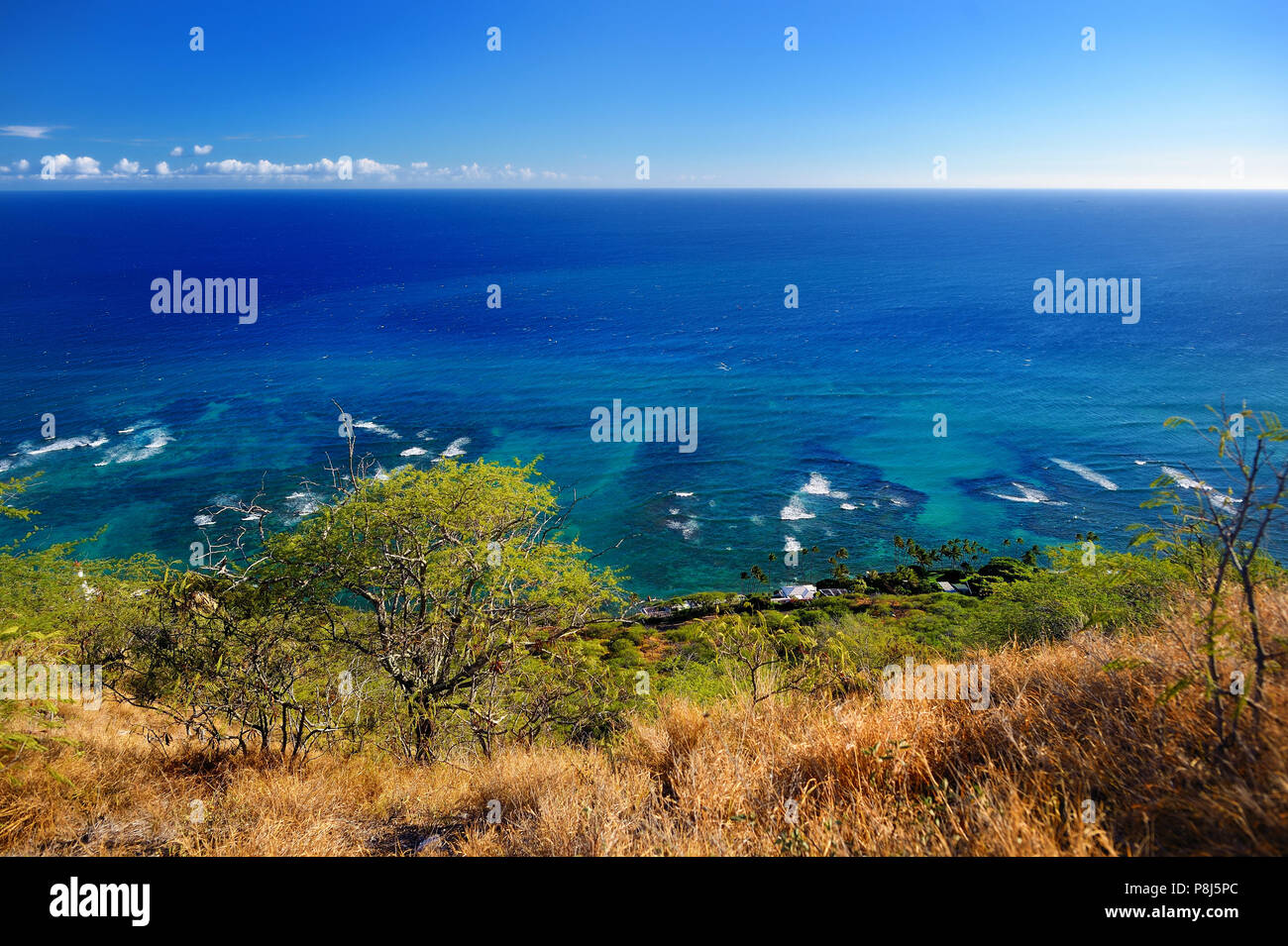 Oceanfront houses in Oahu island, Hawaii Stock Photo - Alamy