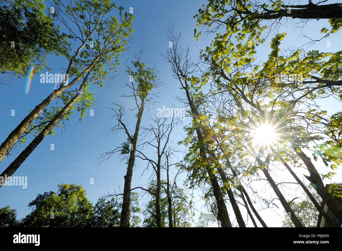Stretching up tall hi-res stock photography and images - Alamy