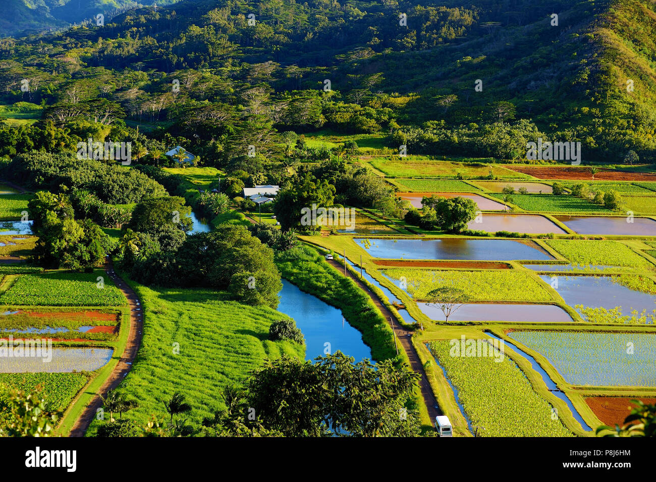 Taro river hi-res stock photography and images - Alamy