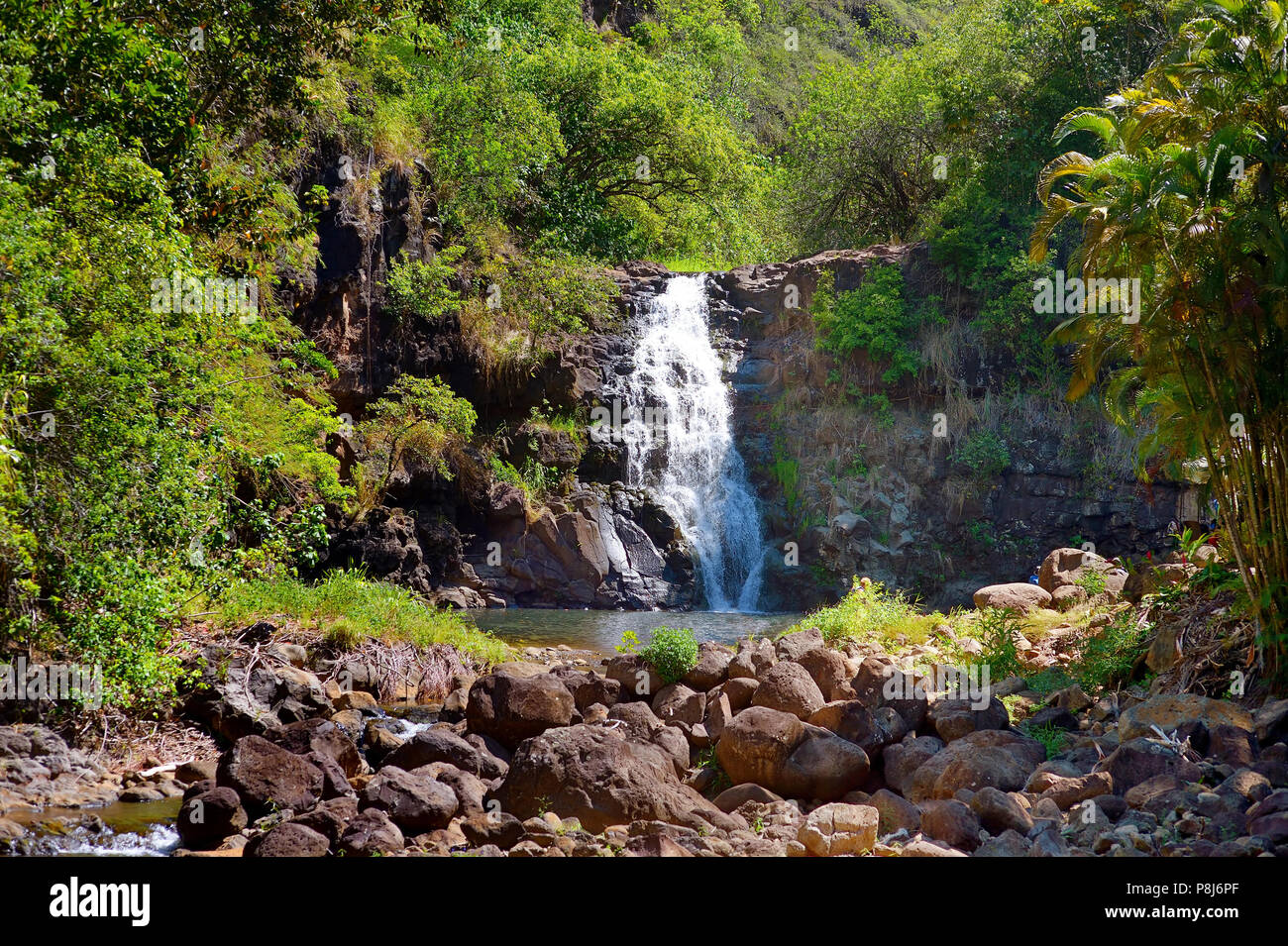 Beautiful tropical waterfall in Waimea Valley park on Oahu island Stock ...