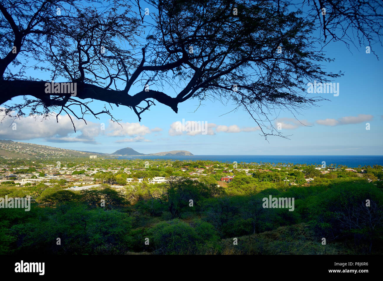 A trail to Diamond Head crater viewpoint on Oahu, Hawaii Stock Photo ...