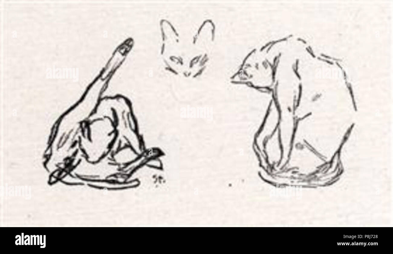 Detailed feline study hi-res stock photography and images - Alamy