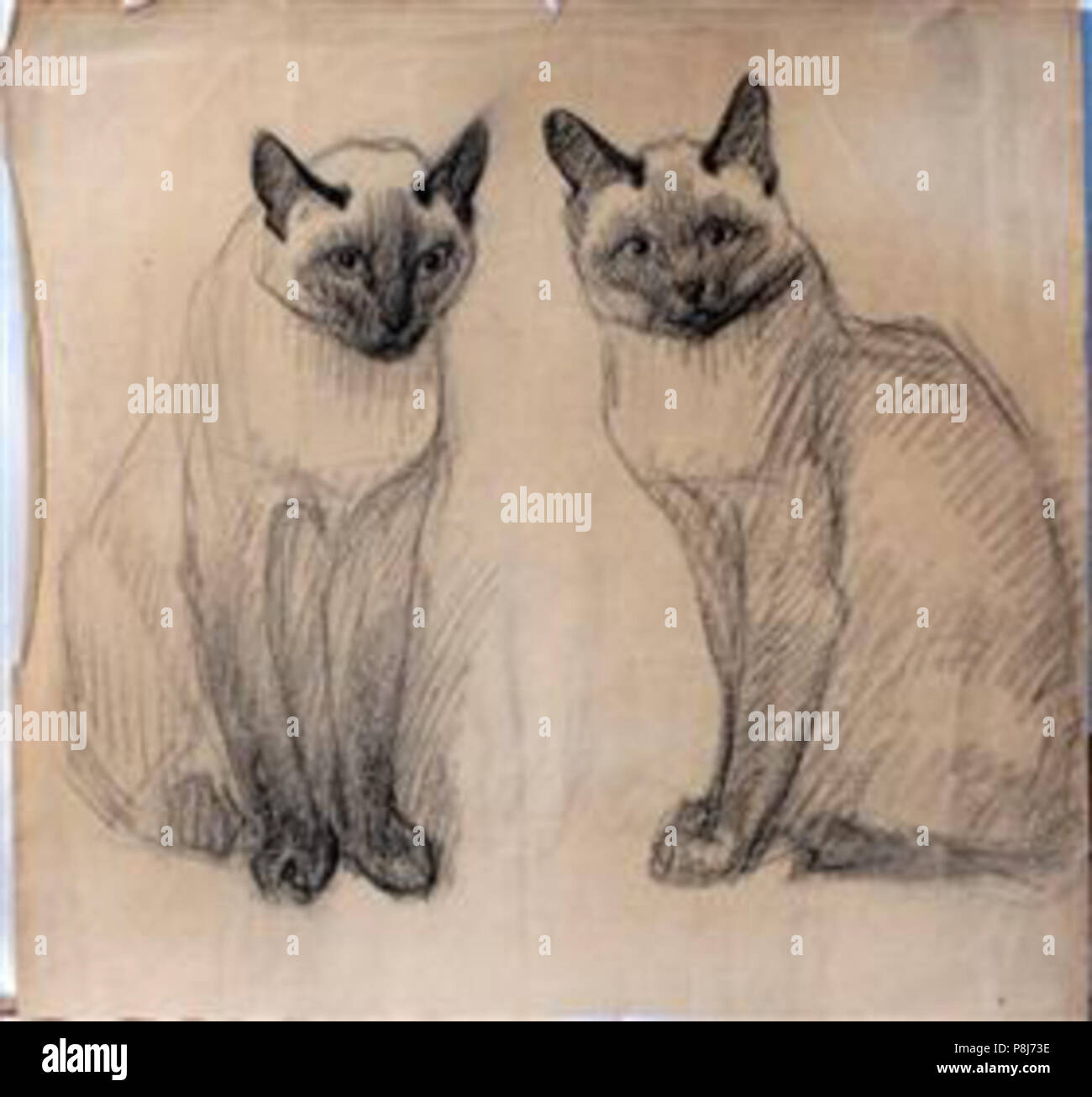 . 538 Steinlen - two-siamese-cats Stock Photo - Alamy