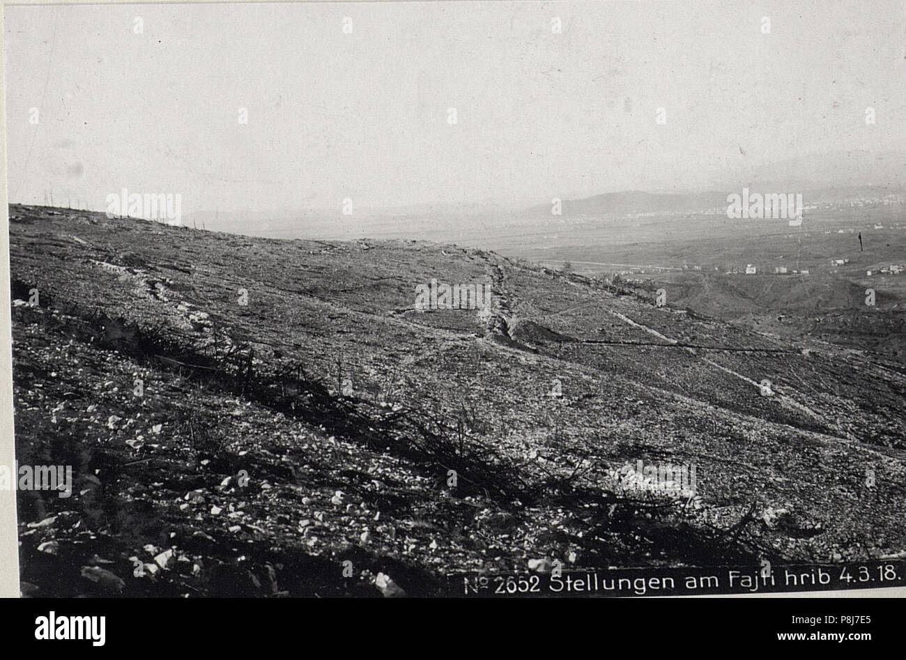 Fajti hrib hi-res stock photography and images - Alamy