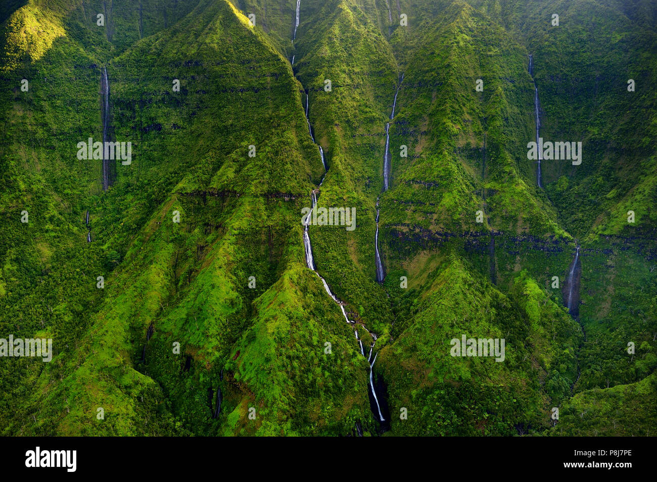 Mount Waialeale known as the wettest spot on Earth, Kauai, Hawaii Stock ...
