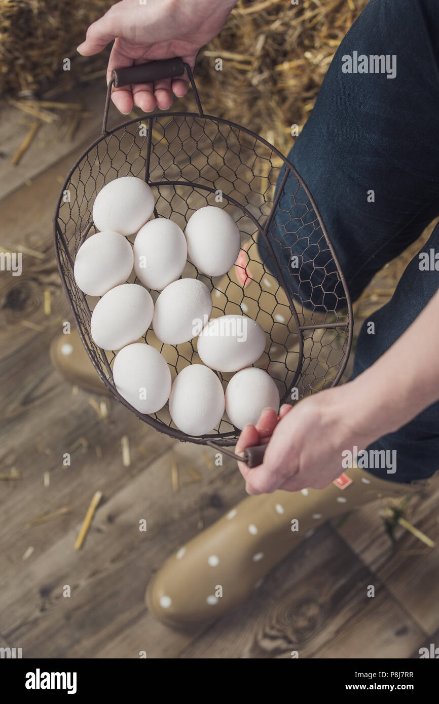 White chicken eggs in wire mesh basket Stock Photo - Alamy