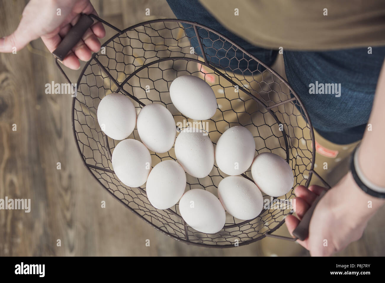 White chicken eggs in wire mesh basket Stock Photo - Alamy