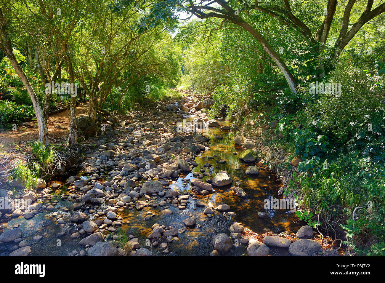 Hawaii waimea oahu waterfall hi-res stock photography and images - Alamy