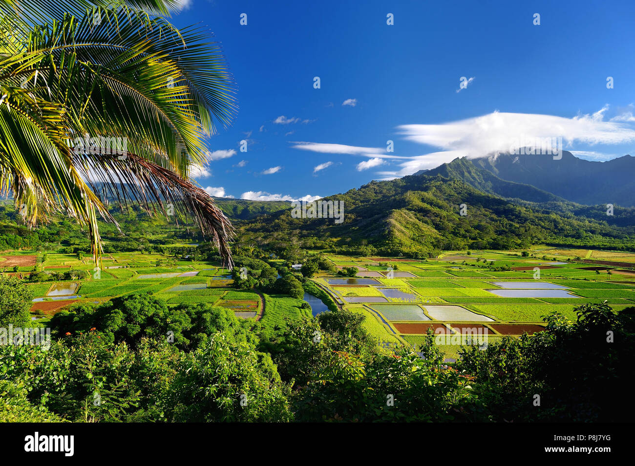 Beautiful princeville hi-res stock photography and images - Alamy