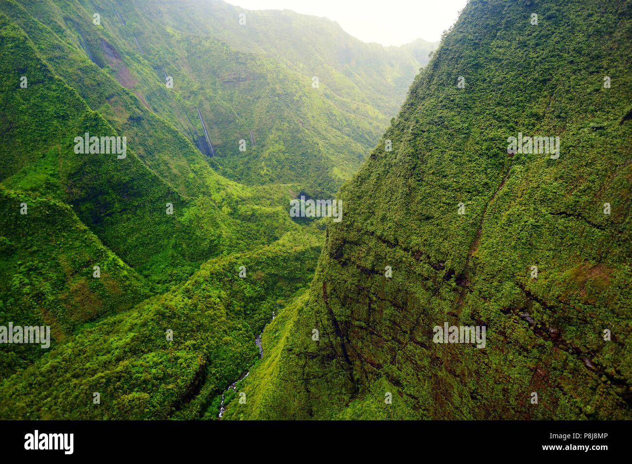 Mount Waialeale known as the wettest spot on Earth, Kauai, Hawaii Stock ...