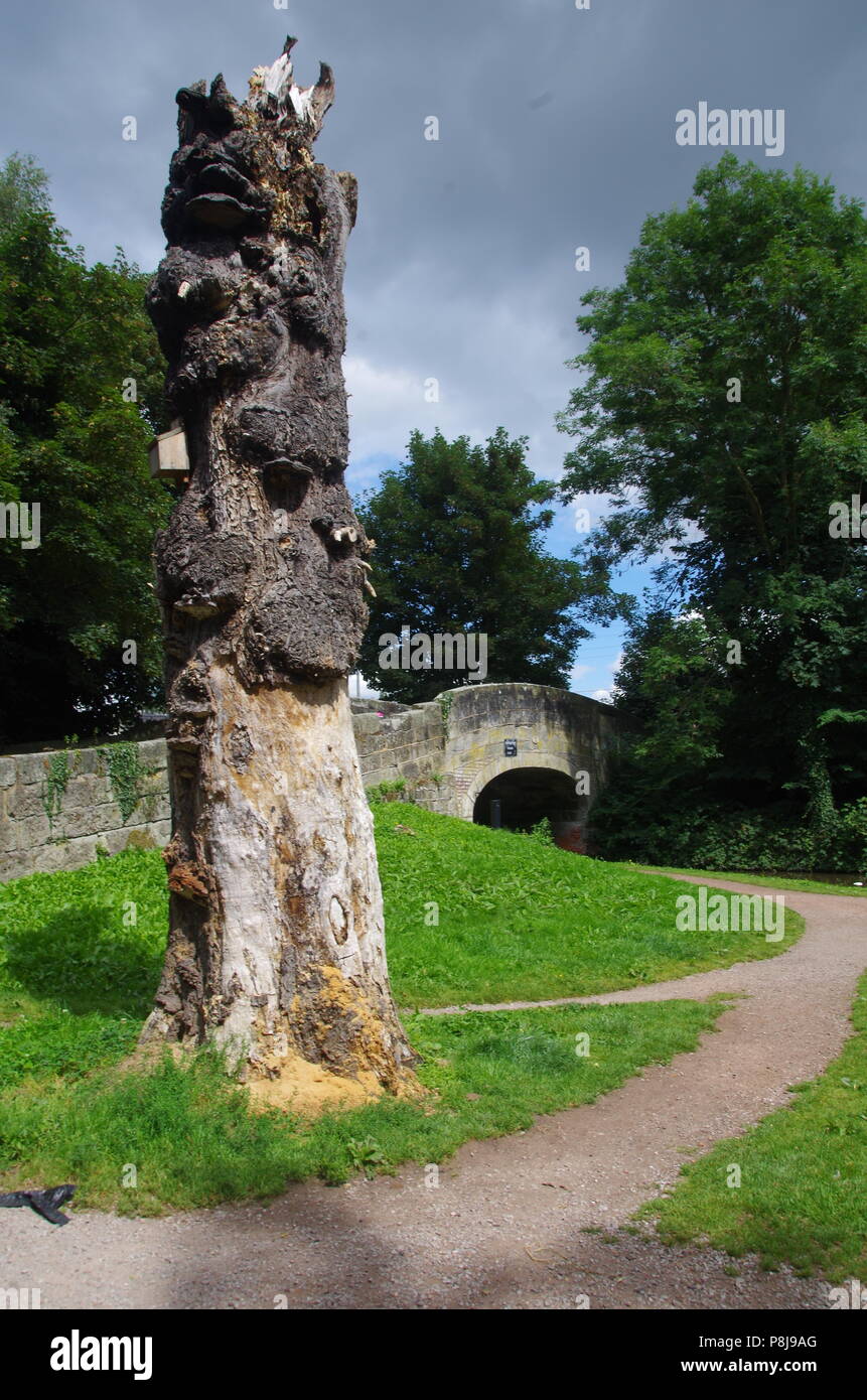 Tree by Essex Bridge Great Haywood. Cross Britain Way. John o' groats ...