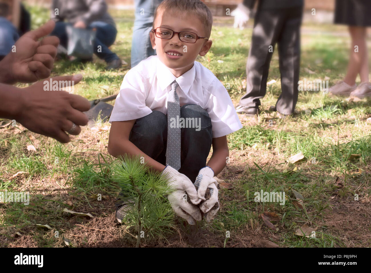 The boy is a first grader plants a cedar tree near the school in the ...