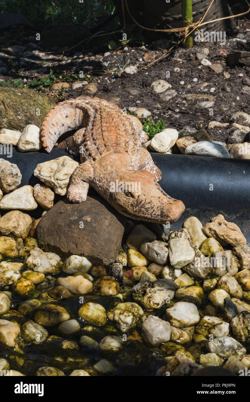 Plastic alligator hi-res stock photography and images - Alamy