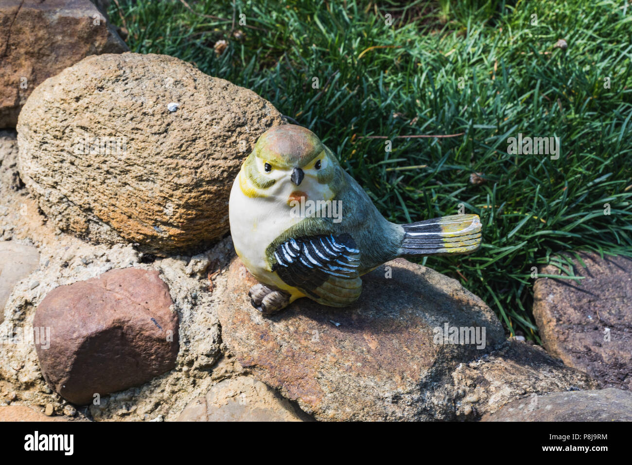 Fat bird hi-res stock photography and images - Alamy