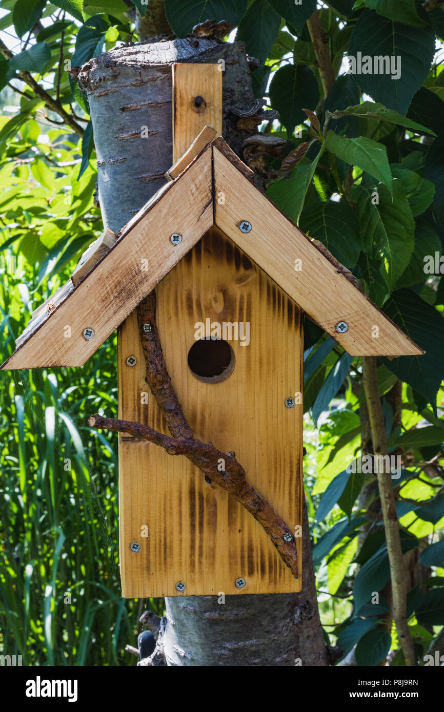 handmade nestling box nailed on a tree in a garden in germany Stock ...