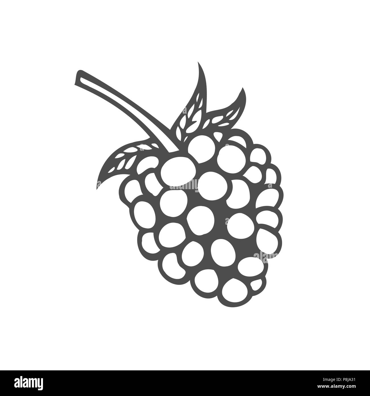 Raspberry Clip Art Black And White