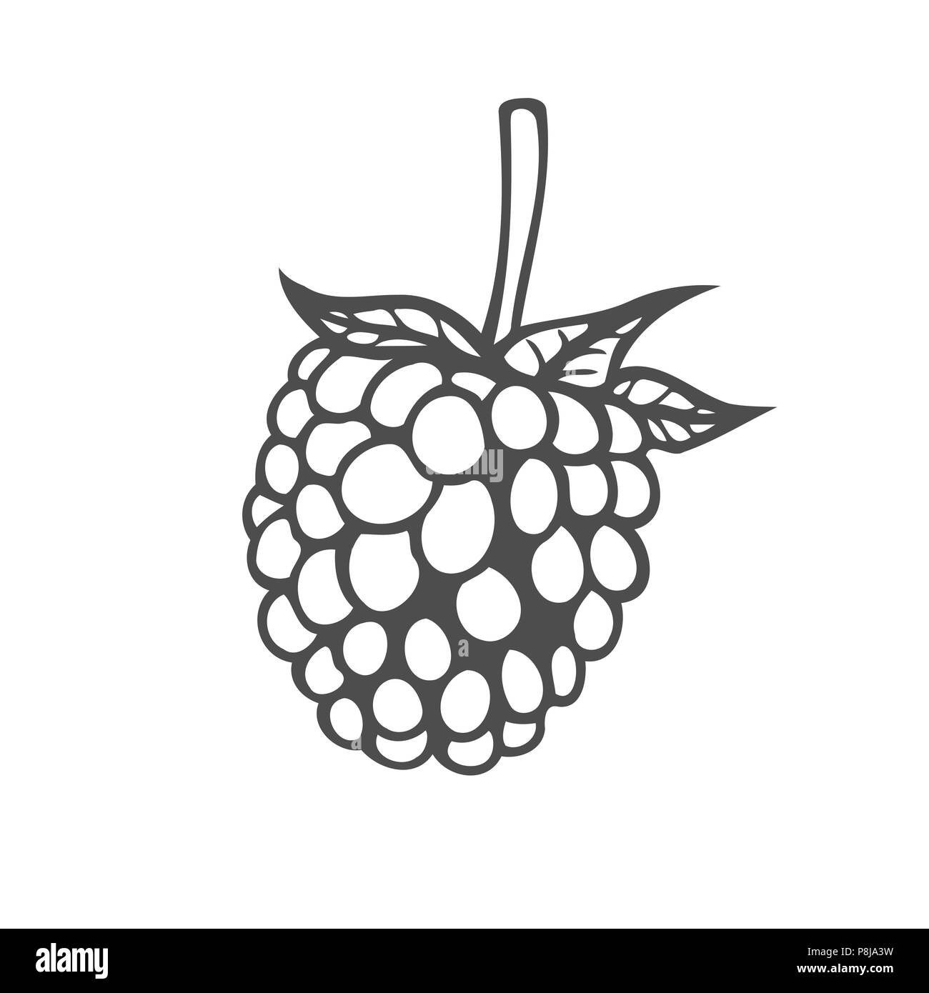 Raspberry Black and White Stock Photos & Images - Alamy