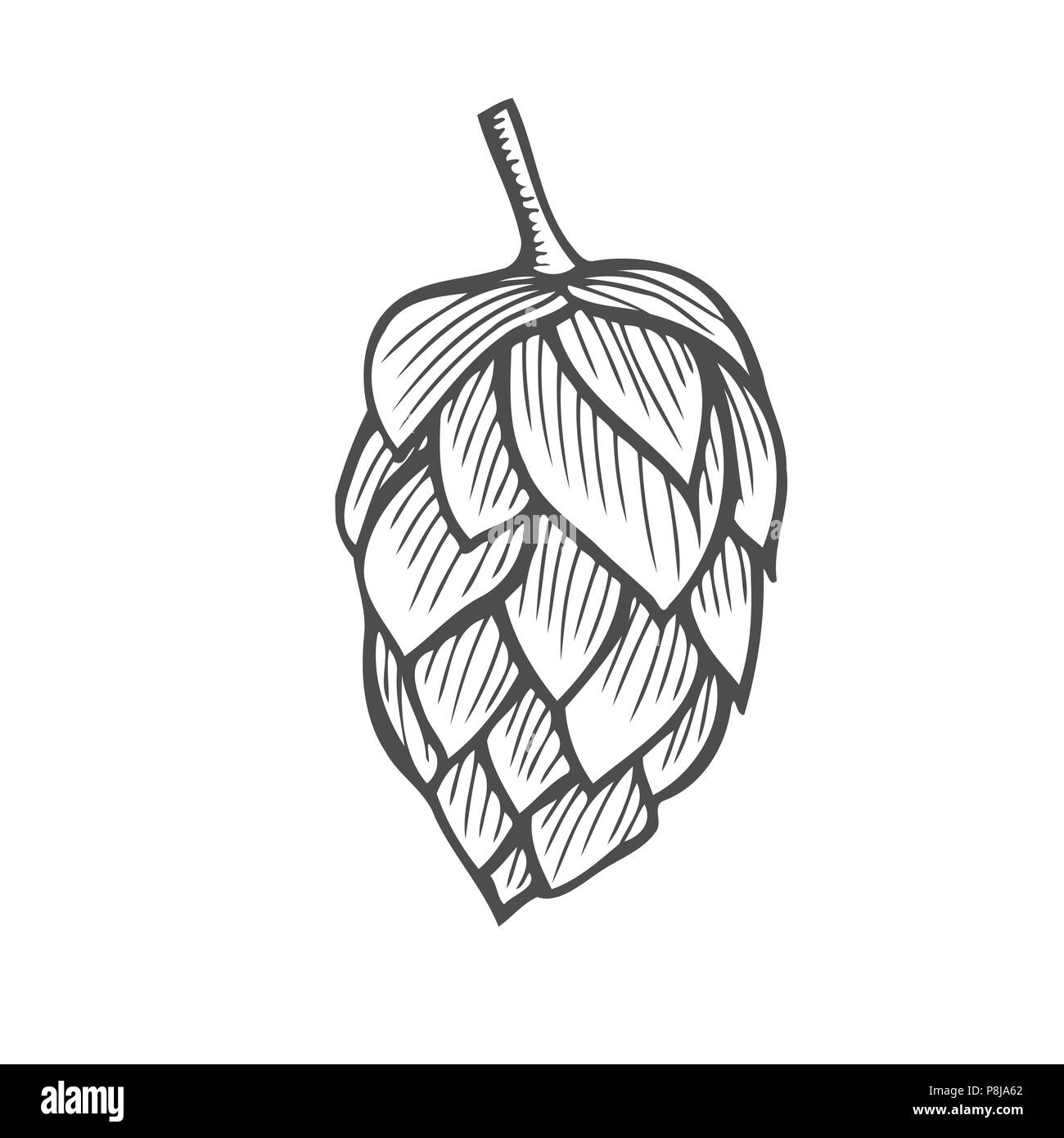 Hops Black and White Stock Photos & Images - Alamy