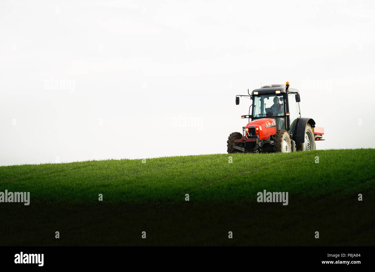 tractor fertilizing in wheat field Stock Photo - Alamy