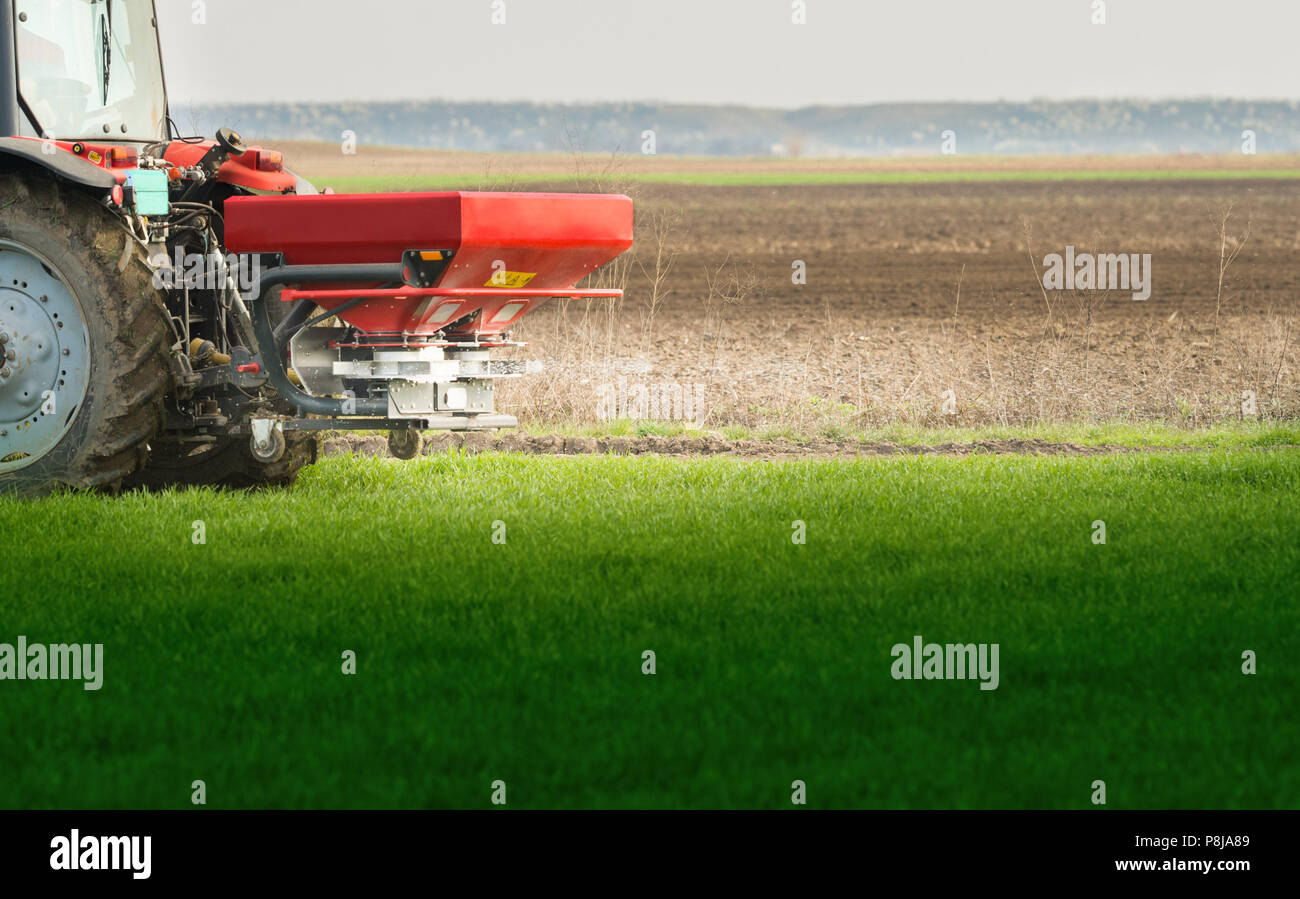 tractor fertilizing in wheat field Stock Photo - Alamy