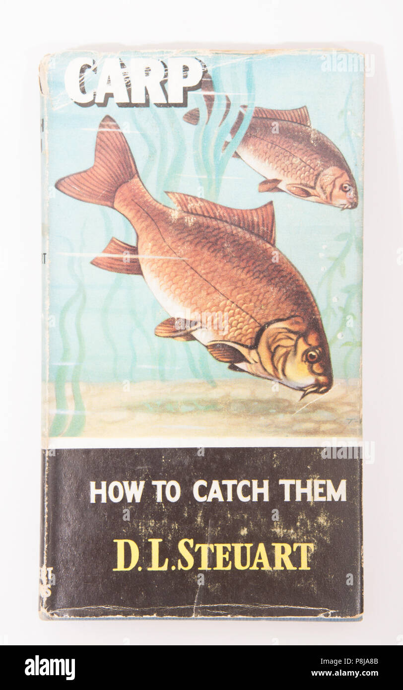 Fishing carp hi-res stock photography and images - Alamy